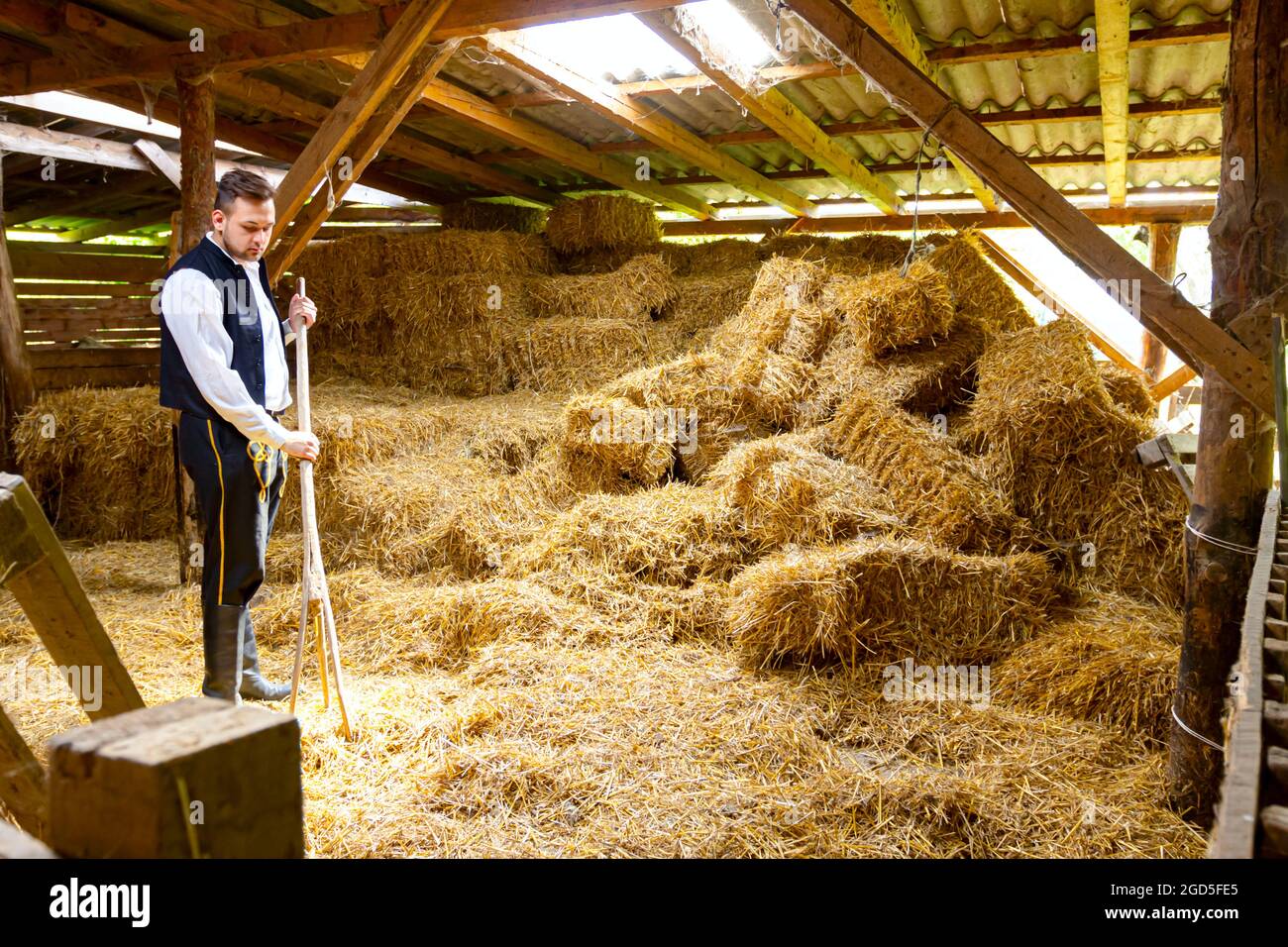 Ivanovo, Vojvodina, Serbia - April 17, 2016: Young male model in ...