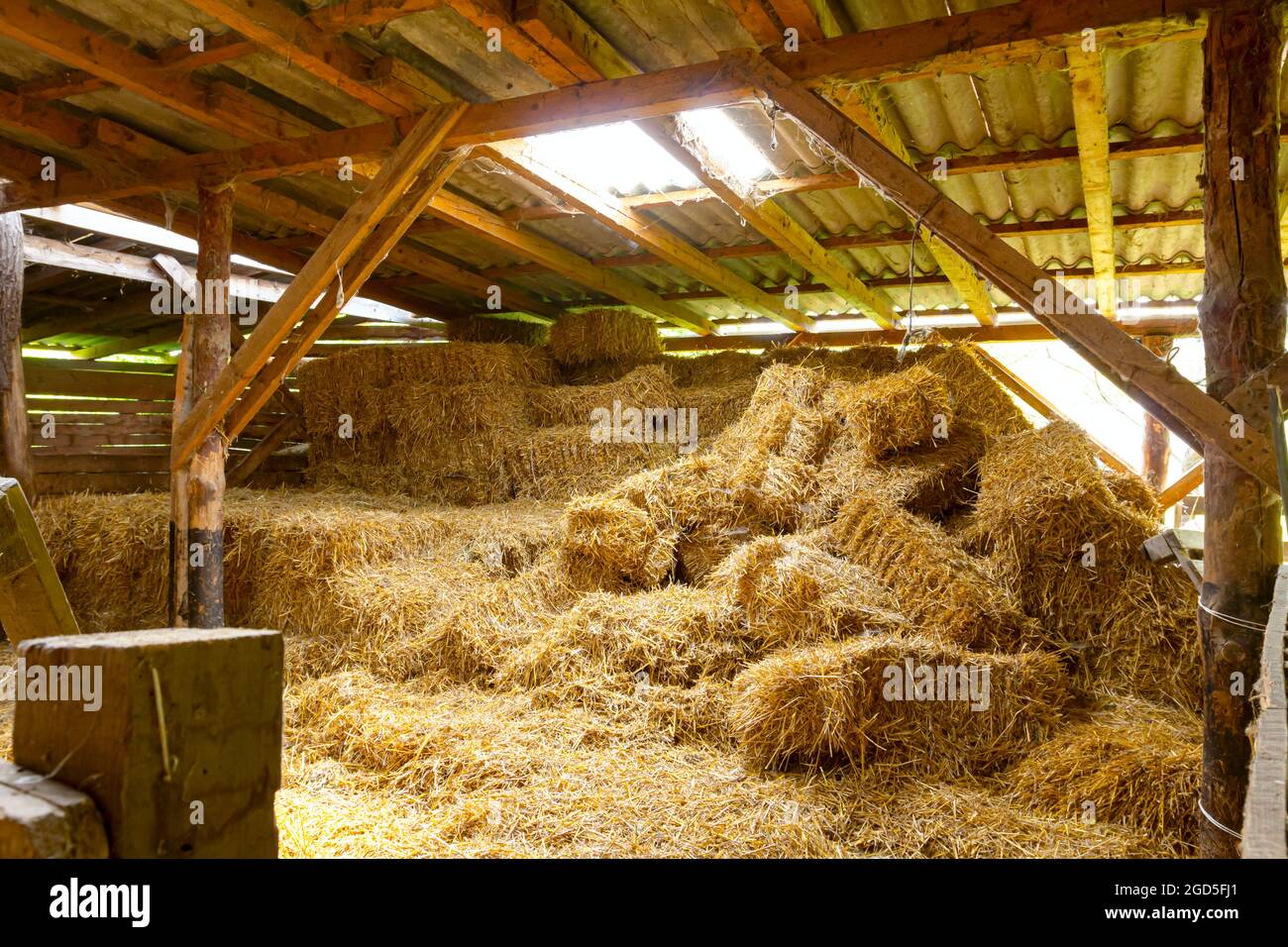 Pile of square bales of straw in ancient, old wooden stable Stock Photo ...