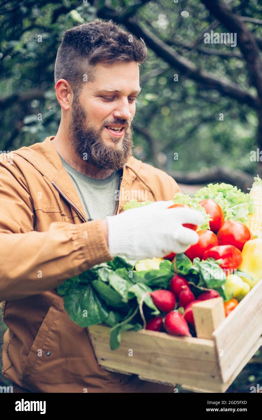Pepper harvest concept bearded hi-res stock photography and images - Alamy