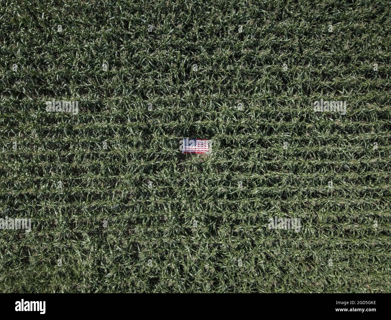American flag star field hi-res stock photography and images - Alamy