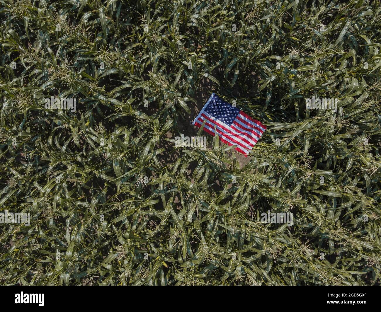 American flag star field hi-res stock photography and images - Alamy