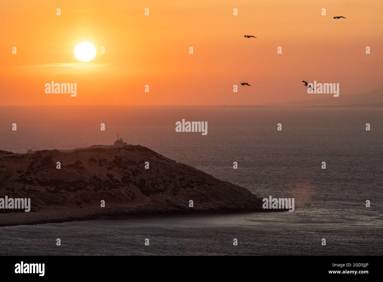 Golden sunset over coastal landscape and birds flying Stock Photo - Alamy