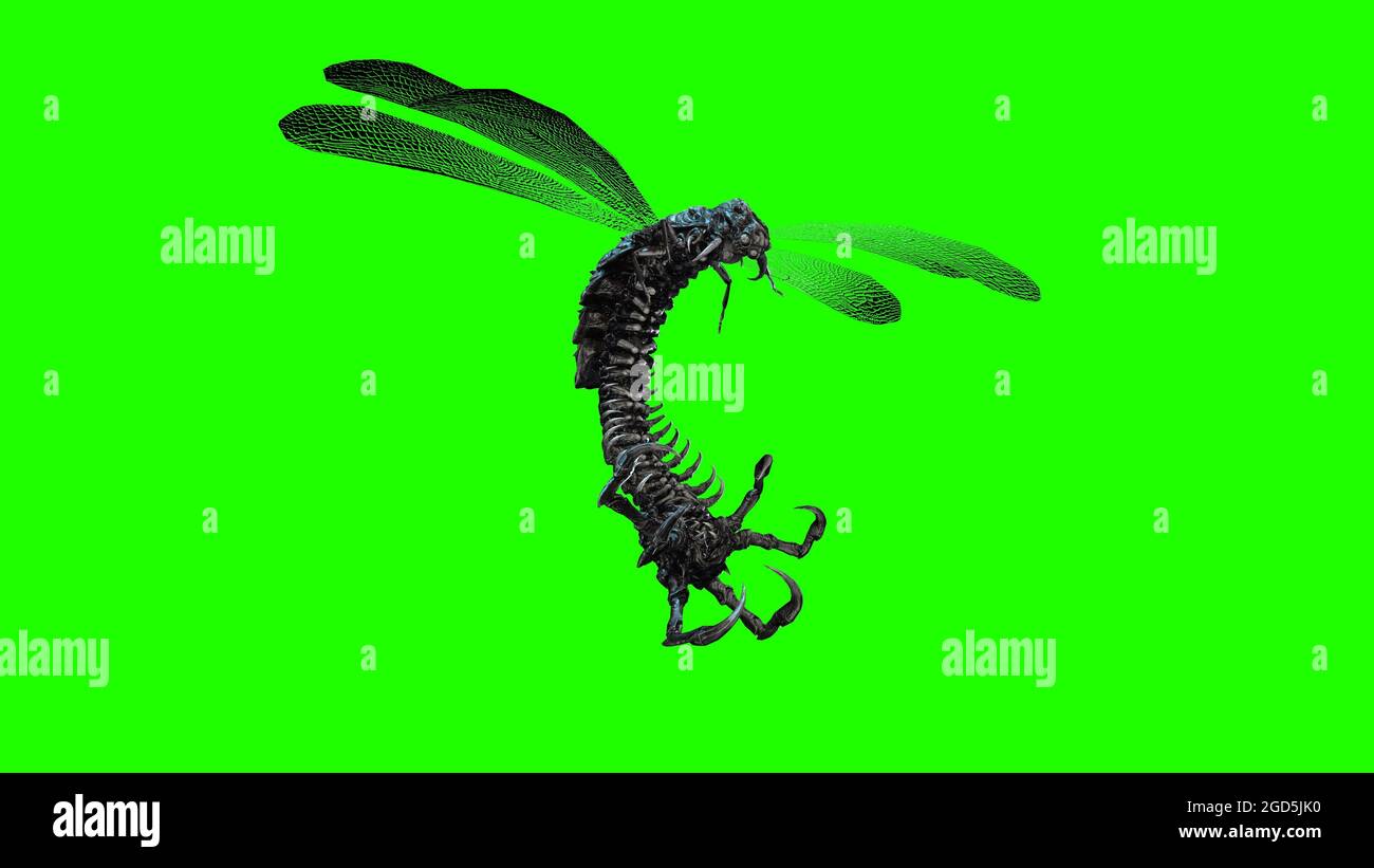 the evil bug scarab beetle 3d render Stock Photo - Alamy