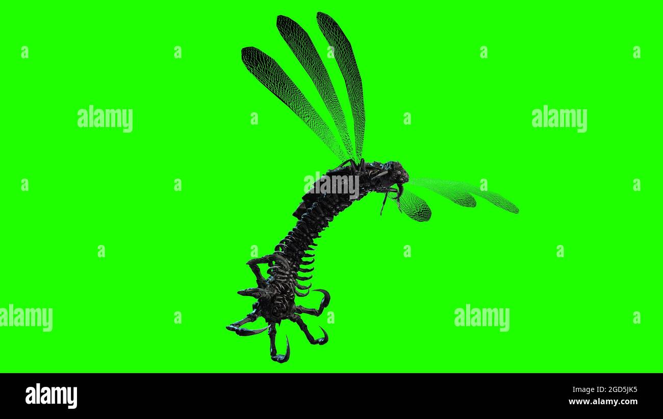 the evil bug scarab beetle 3d render Stock Photo - Alamy