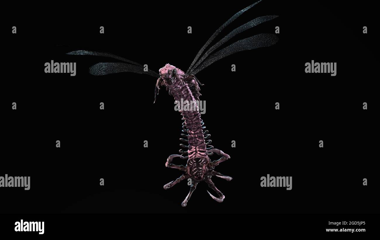 the evil bug scarab beetle 3d render Stock Photo - Alamy the evil bug scarab beetle 3d render Stock Photo - Alamy