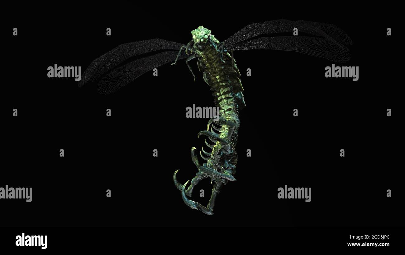 the evil bug scarab beetle 3d render Stock Photo - Alamy