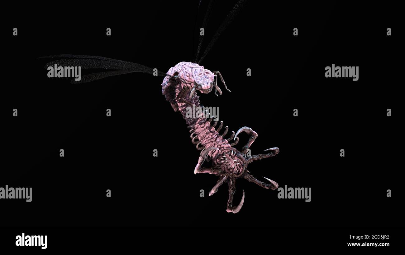 the evil bug scarab beetle 3d render Stock Photo - Alamy