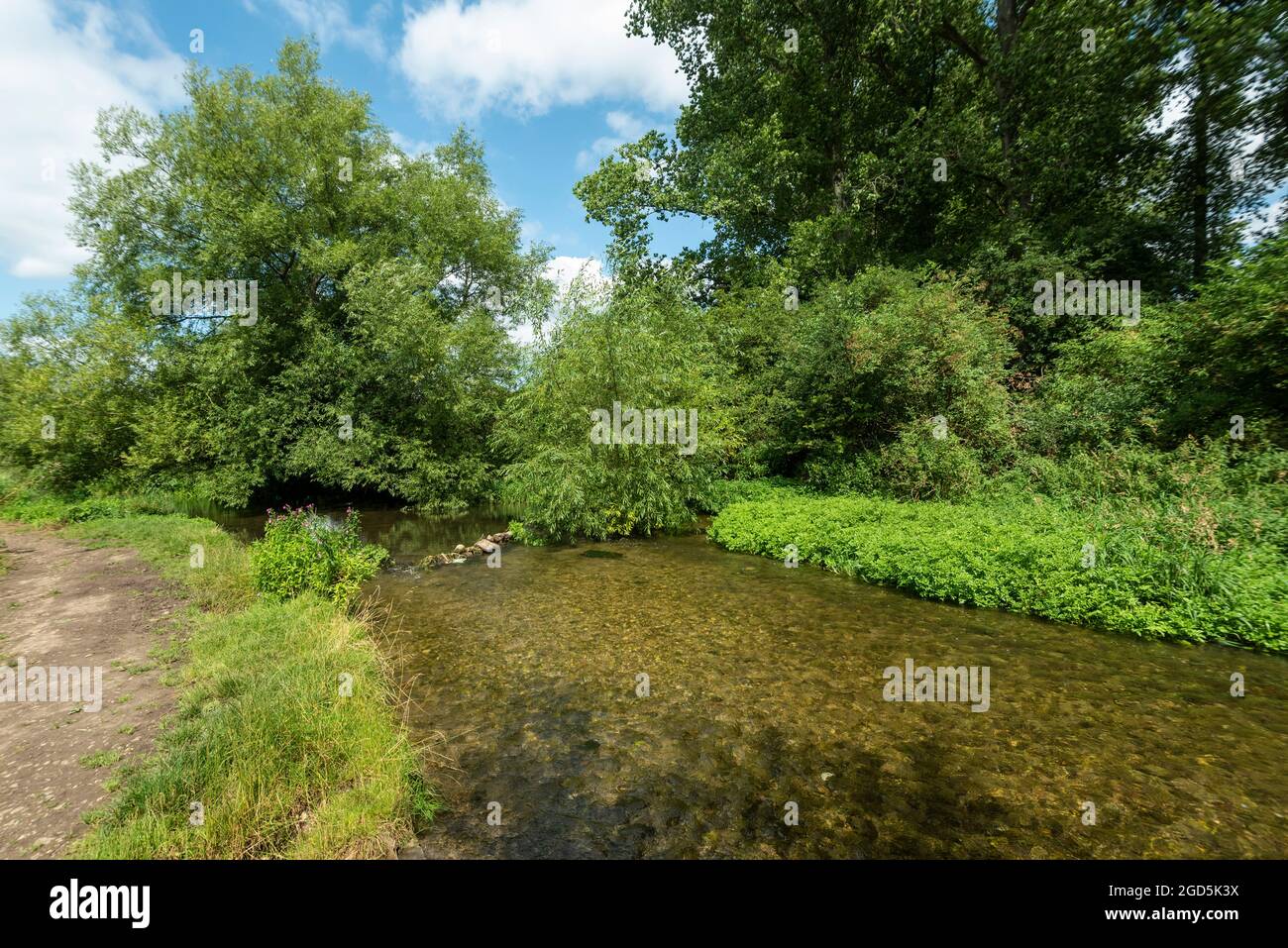 Polluted river uk 2021 hi-res stock photography and images - Alamy