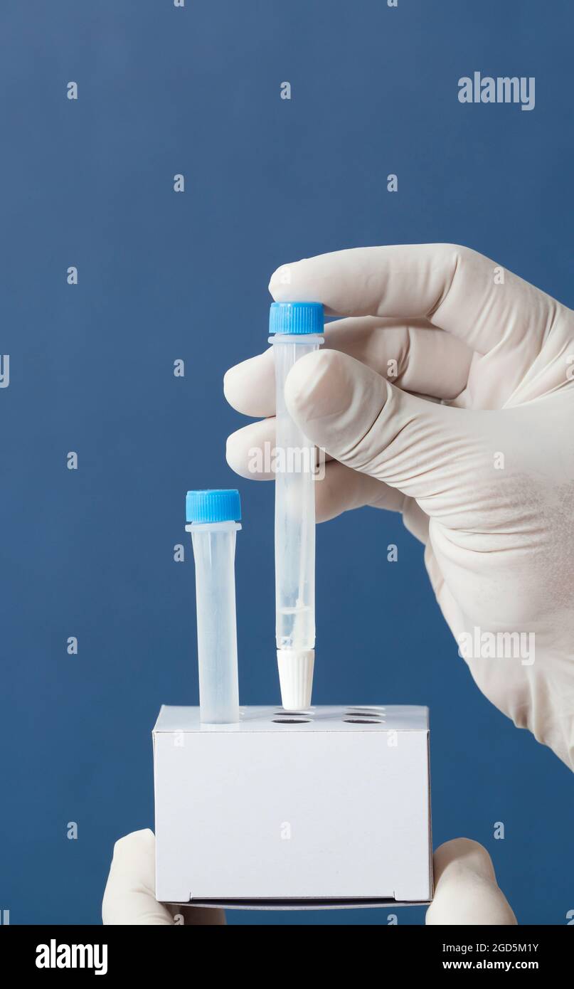 coronaviris pcr kit in the hands of a doctor with surgical gloves ...