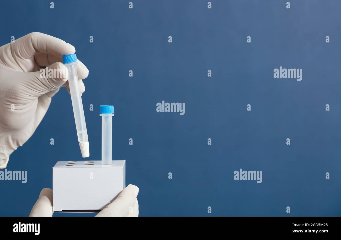 coronaviris pcr kit in the hands of a doctor with surgical gloves ...