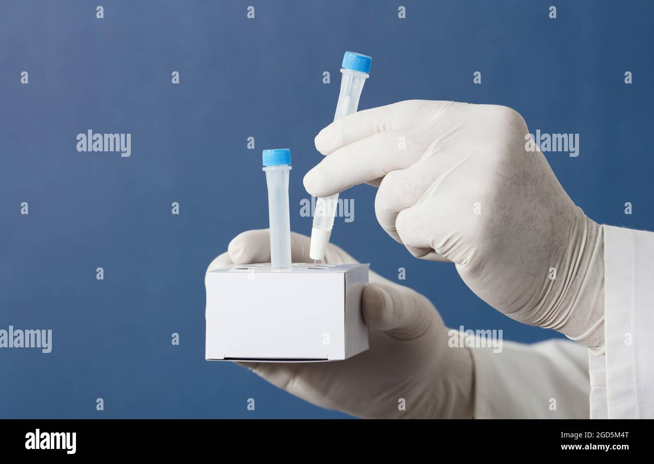 coronaviris pcr kit in the hands of a doctor with surgical gloves ...