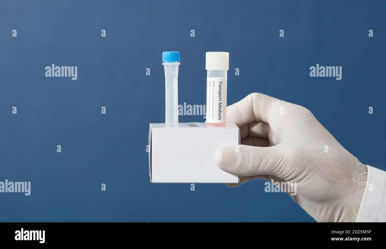 coronavirus pcr kit in the hands of a doctor with surgical gloves ...