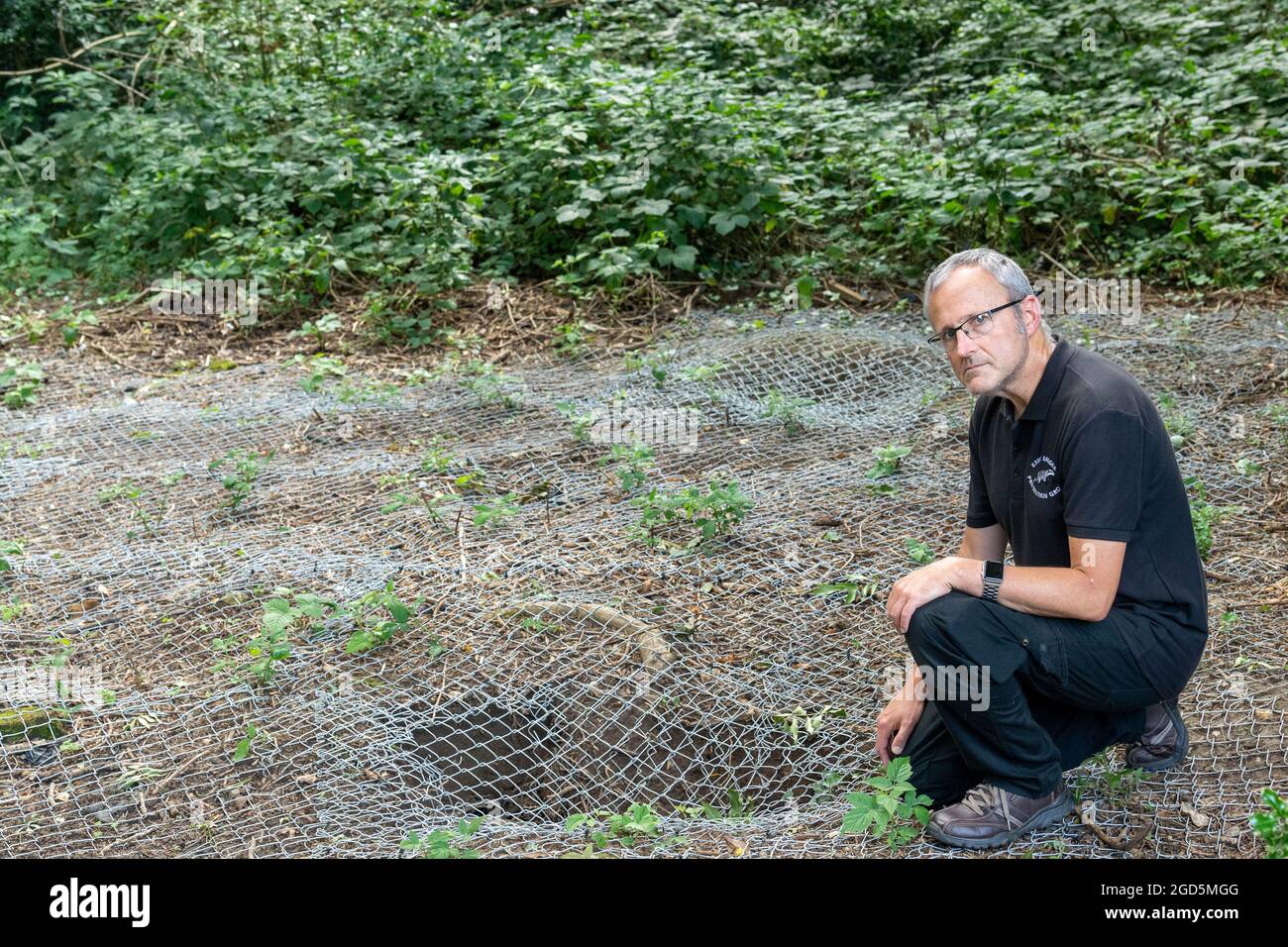 Disused badger set hi-res stock photography and images - Alamy