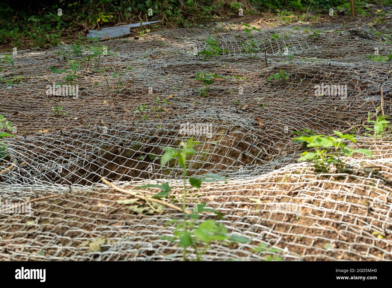 Disused badger set hi-res stock photography and images - Alamy