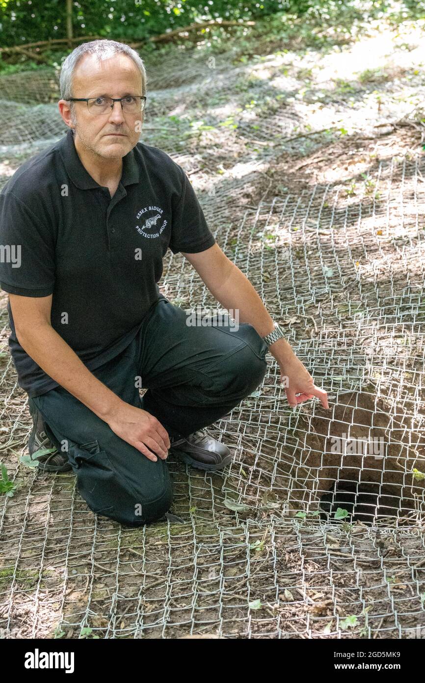 Disused badger set hi-res stock photography and images - Alamy