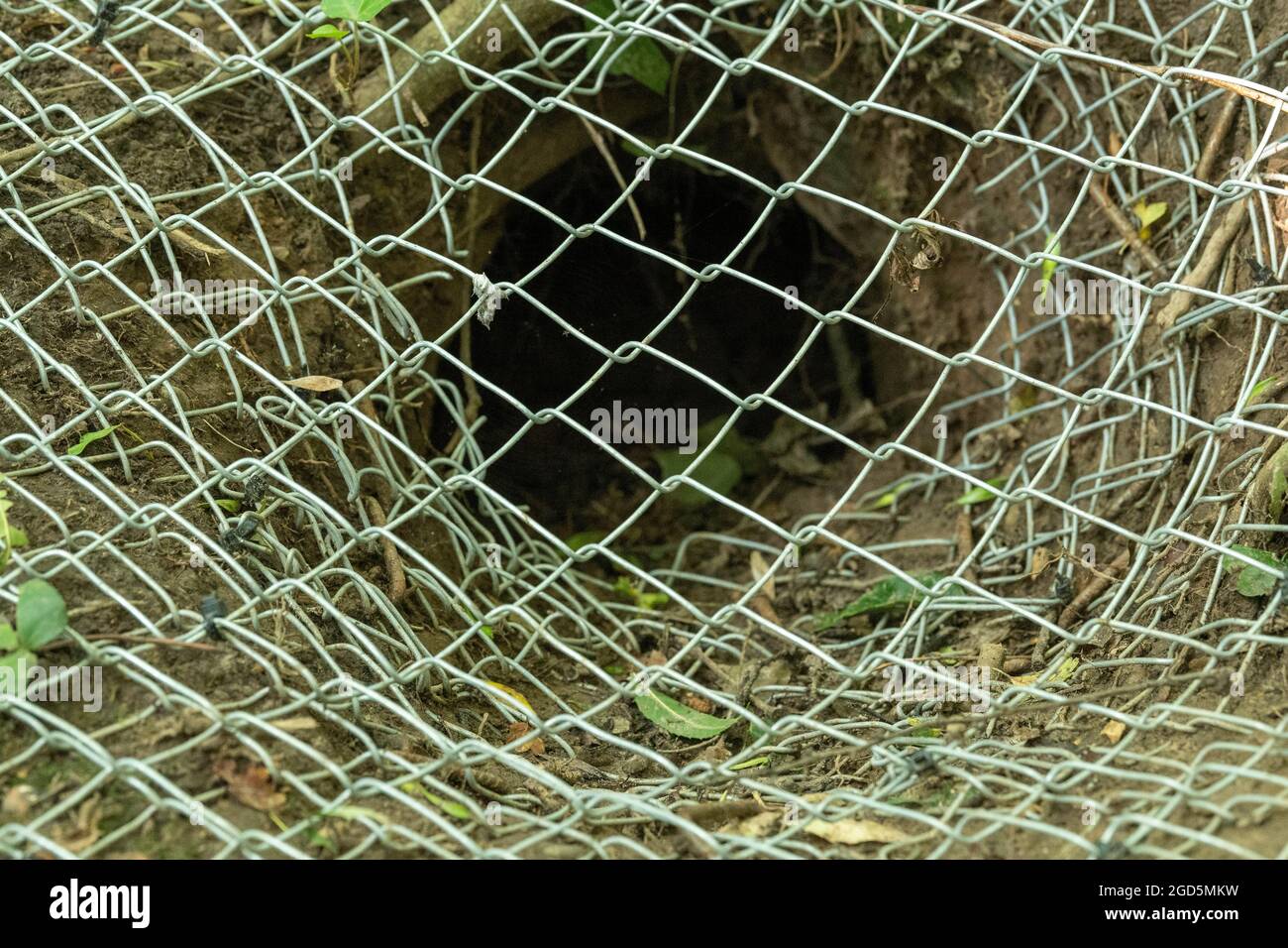 Disused badger set hi-res stock photography and images - Alamy