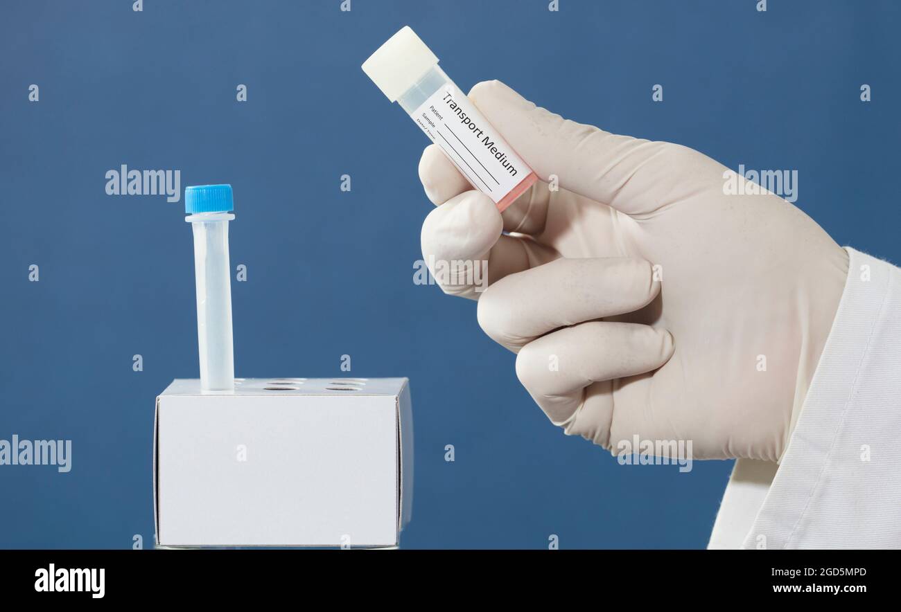 coronaviris pcr kit in the hands of a doctor with surgical gloves ...