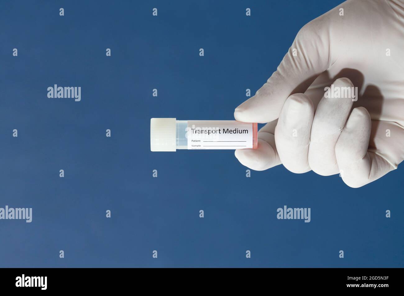 transport vial for pcr test, in the hands of a doctor, nurse ...