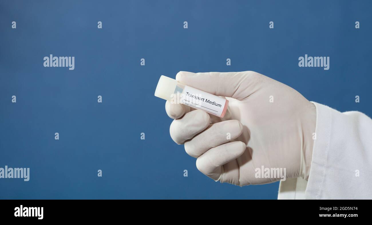 transport vial for pcr test, in the hands of a doctor, nurse ...