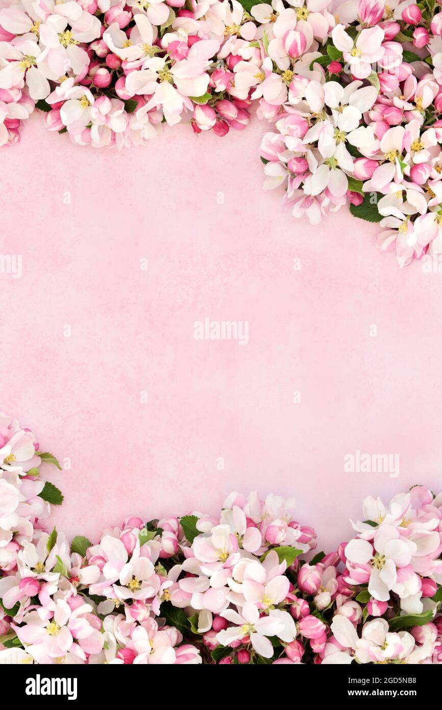 Letter Head Background For Easter Best Easter Background Royalty Free