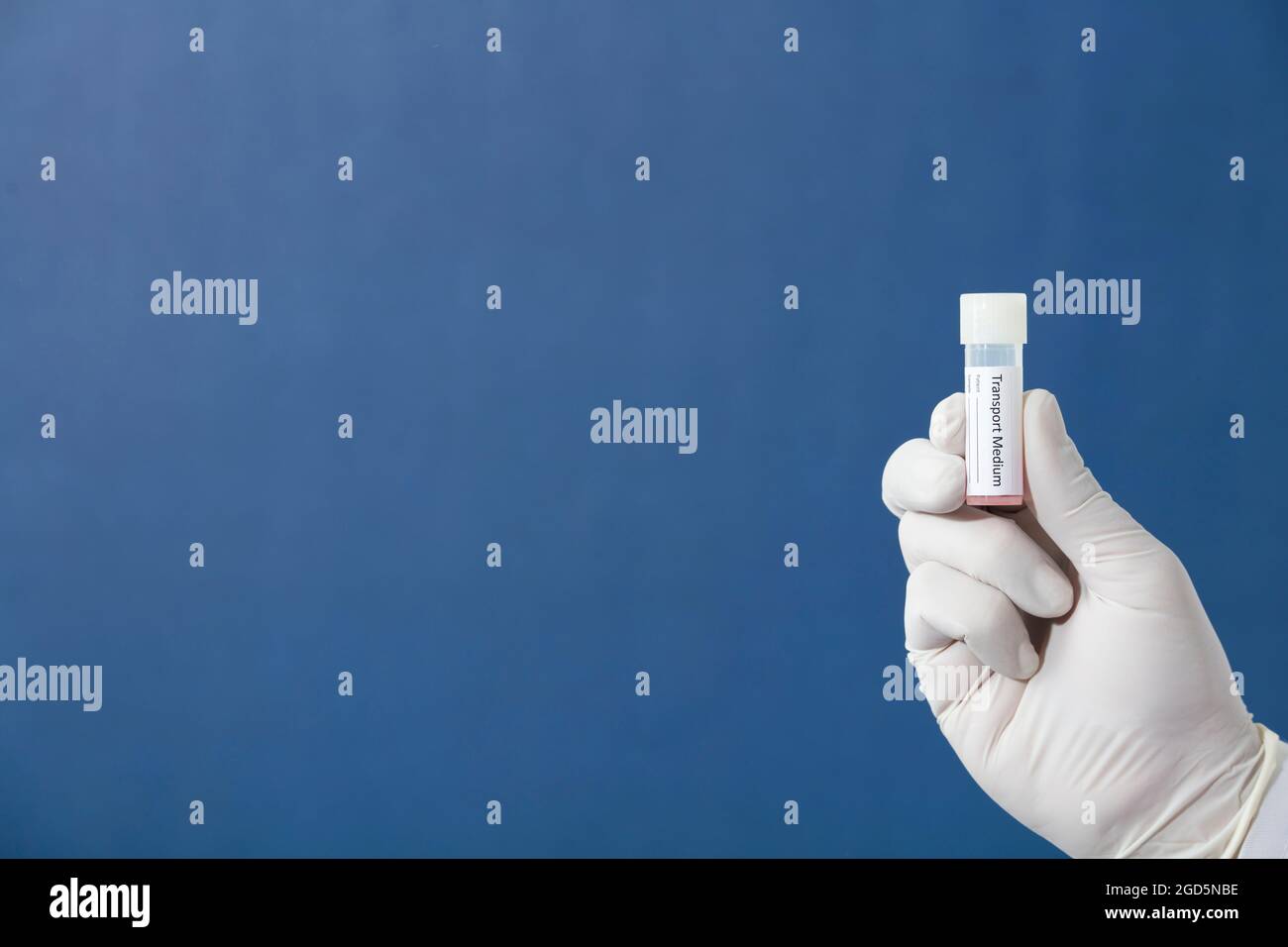 transport vial for pcr test, in the hands of a doctor, nurse ...