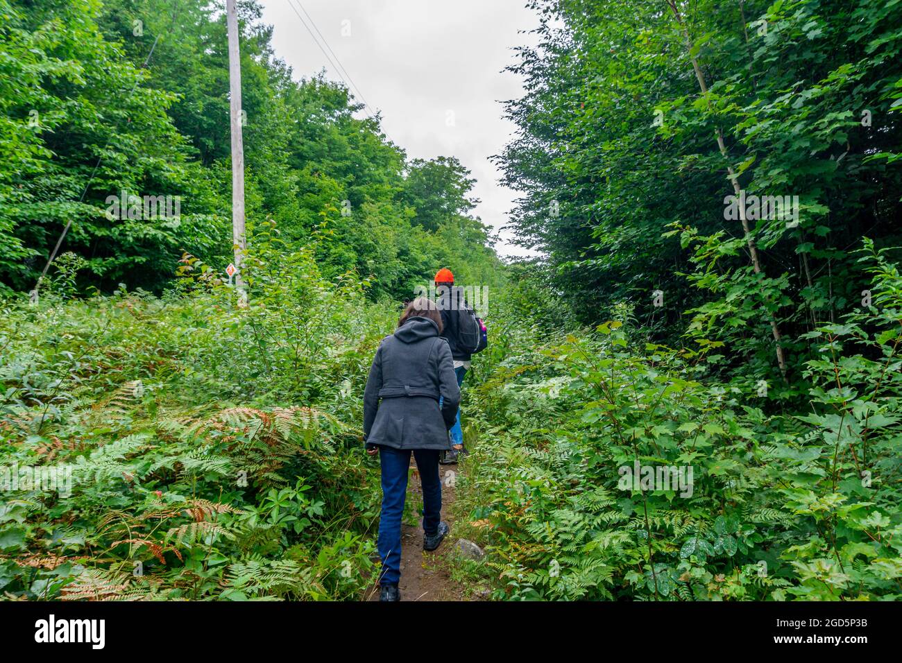 Arrowhead provincial park, Ontario, Canada, August 2021 - Hikers ...