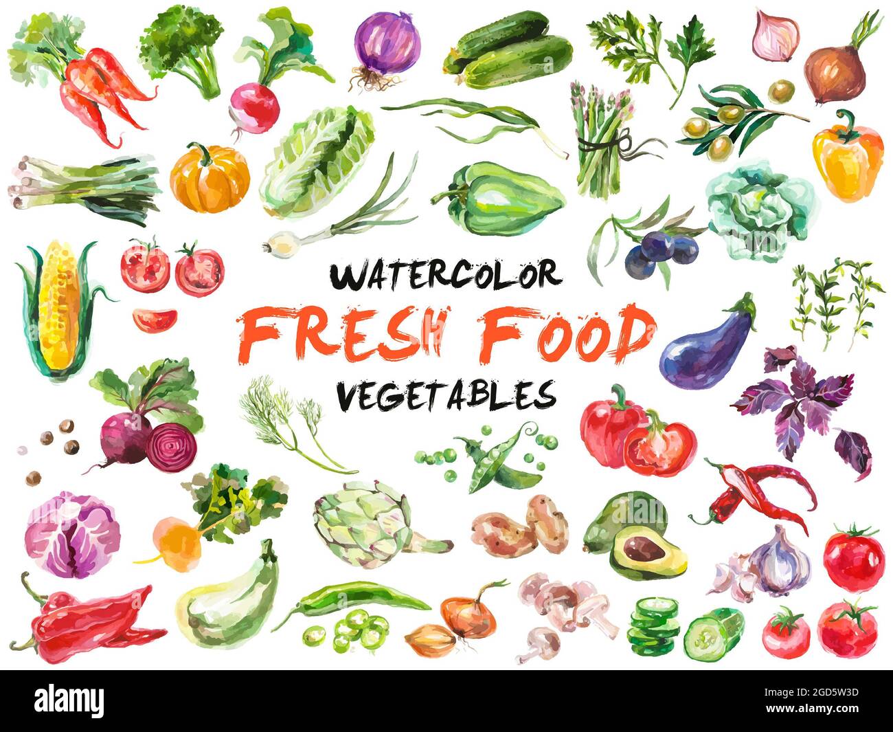Watercolor painted collection of vegetables Stock Photo - Alamy