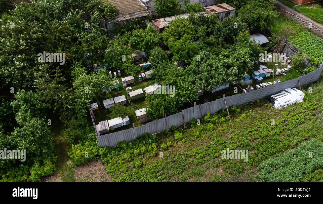 apiary near the house with a garden Stock Photo - Alamy