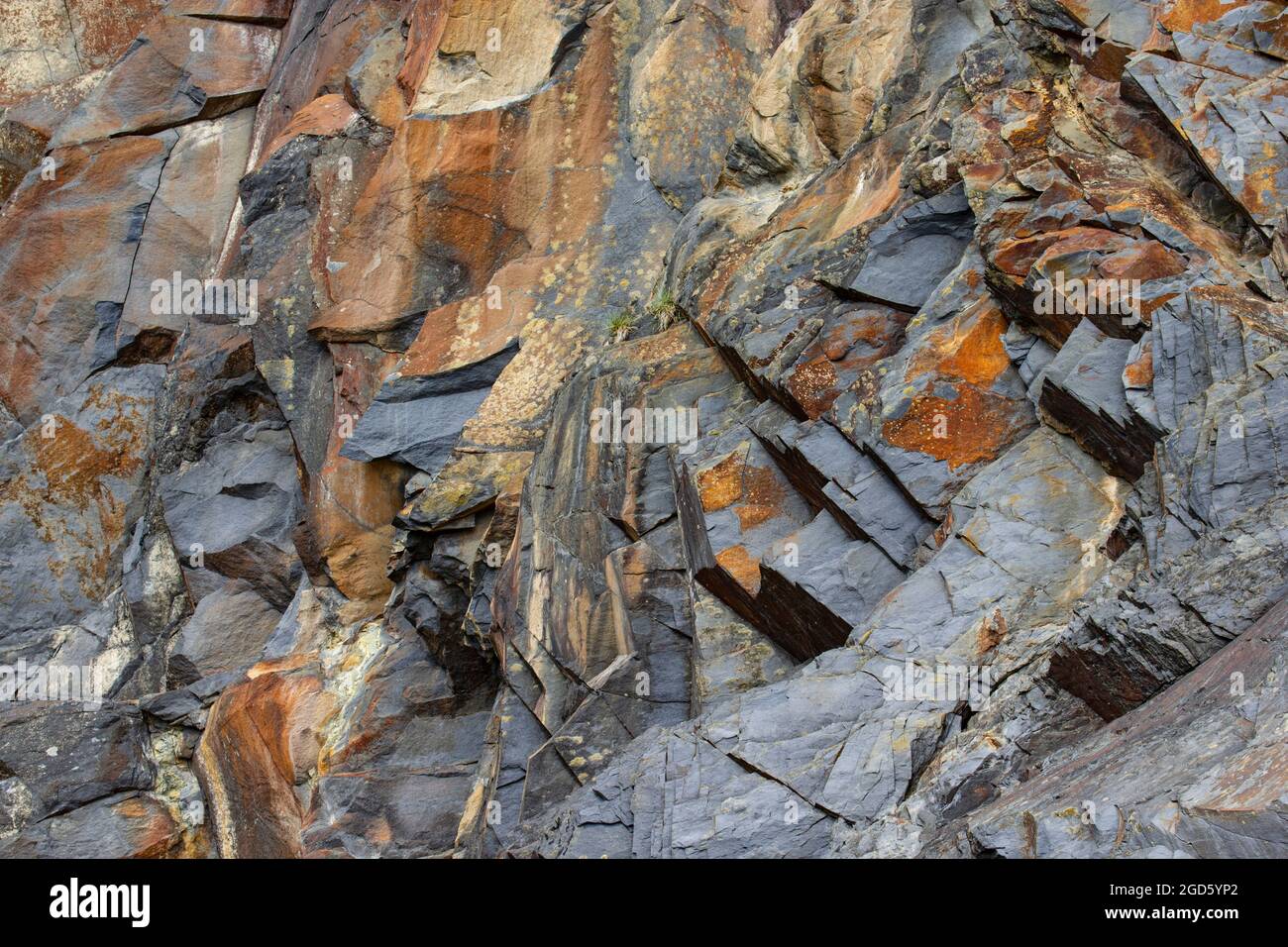cliff face Traeth Llyfn Beach Porthgain Pembrokeshire Coast National ...