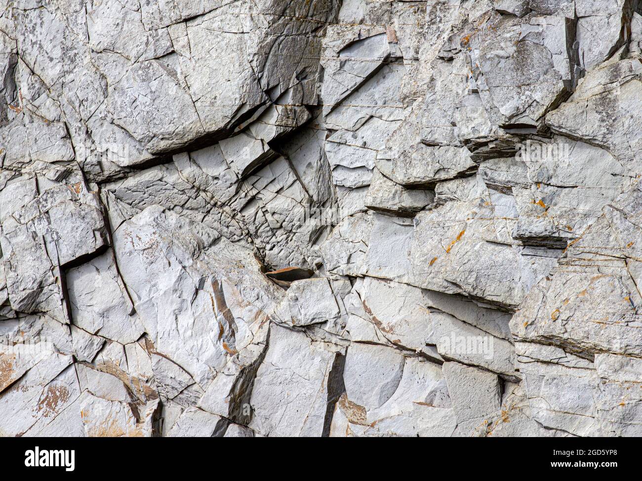 cliff face Traeth Llyfn Beach Porthgain Pembrokeshire Coast National ...
