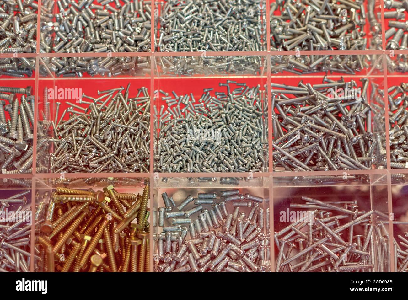 Various Size and Shape of Screws and Bolts Selection in Plastic Tray ...