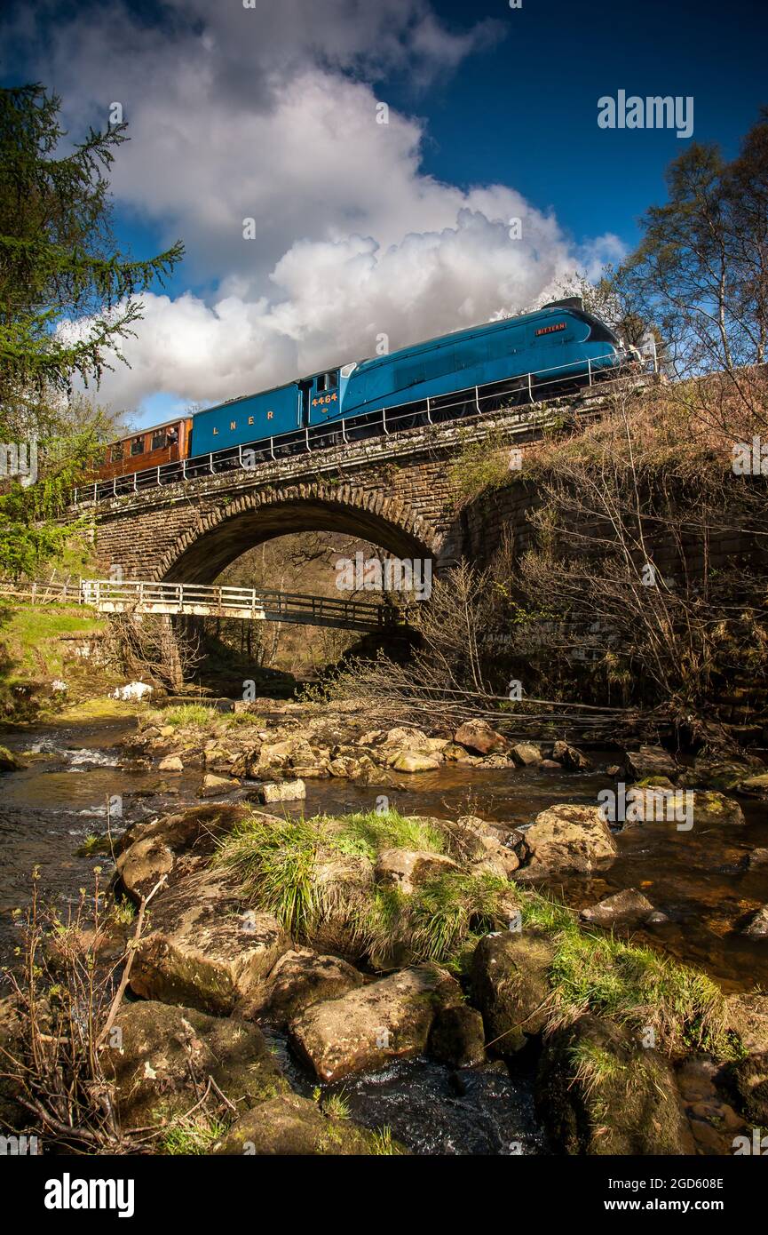Steam engine locomotive loco bittern hi-res stock photography and ...