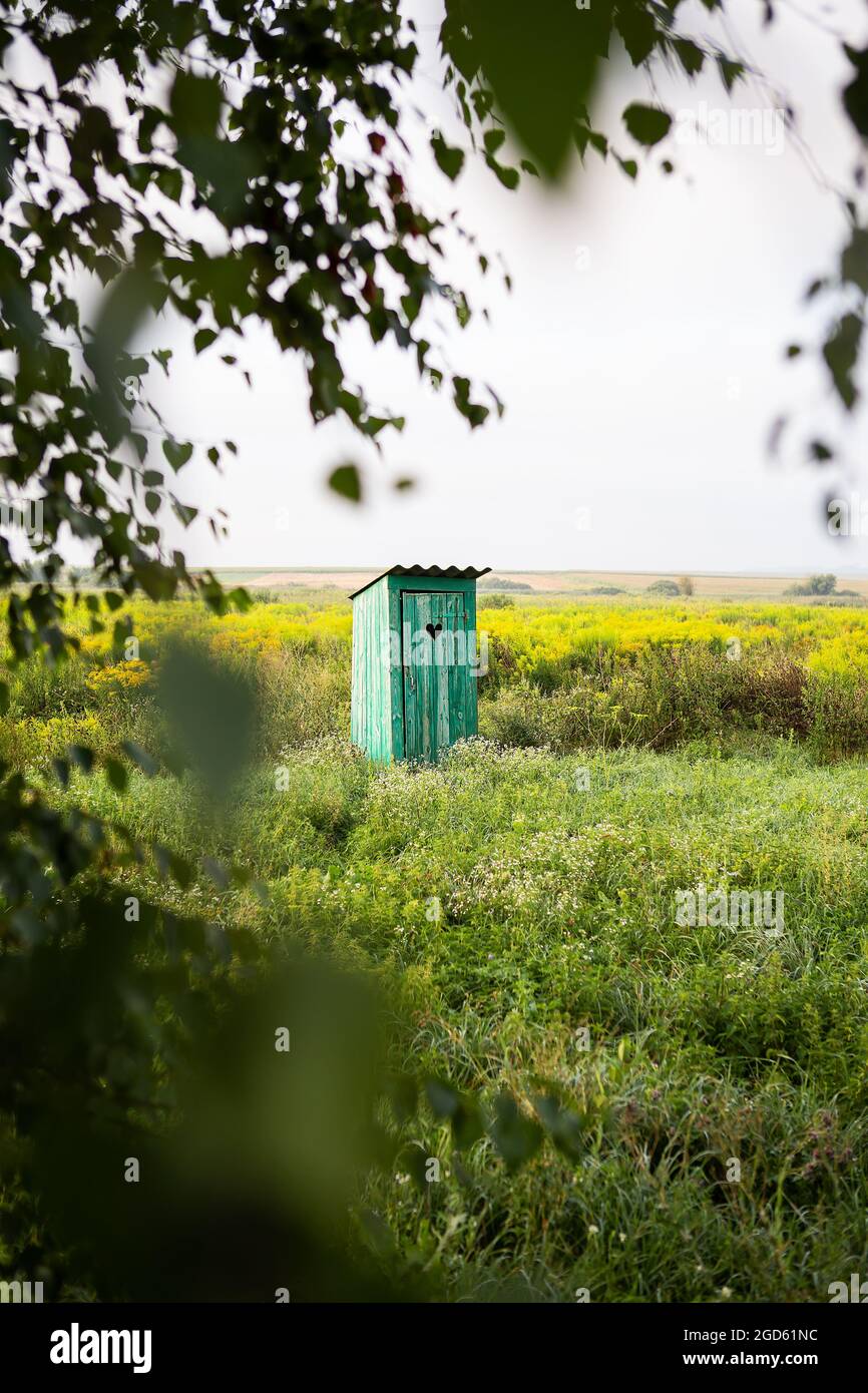 Vintage toilet in the middle of a field of flowers. An outdoor rustic ...