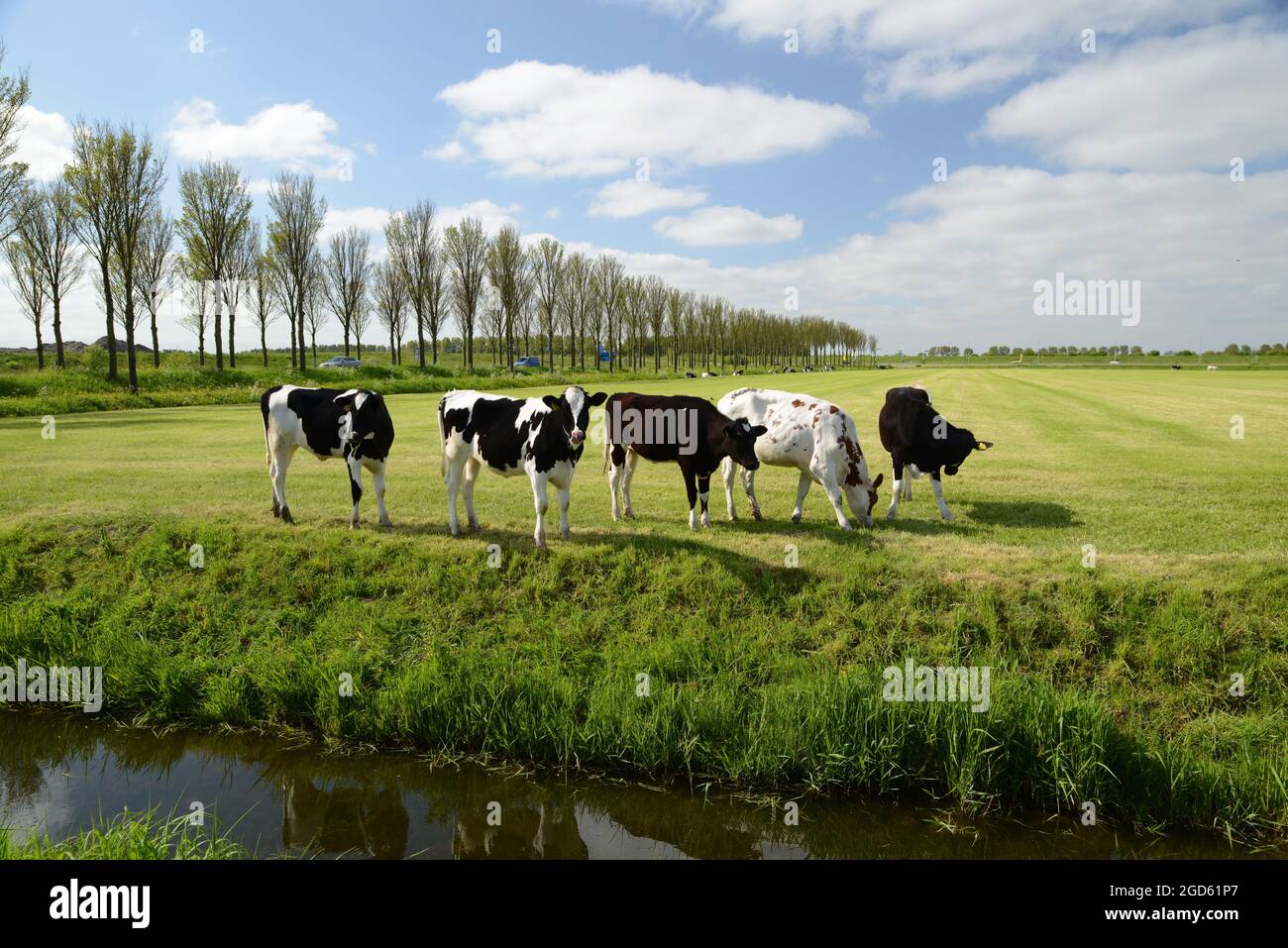 Pastaurised hi-res stock photography and images - Alamy