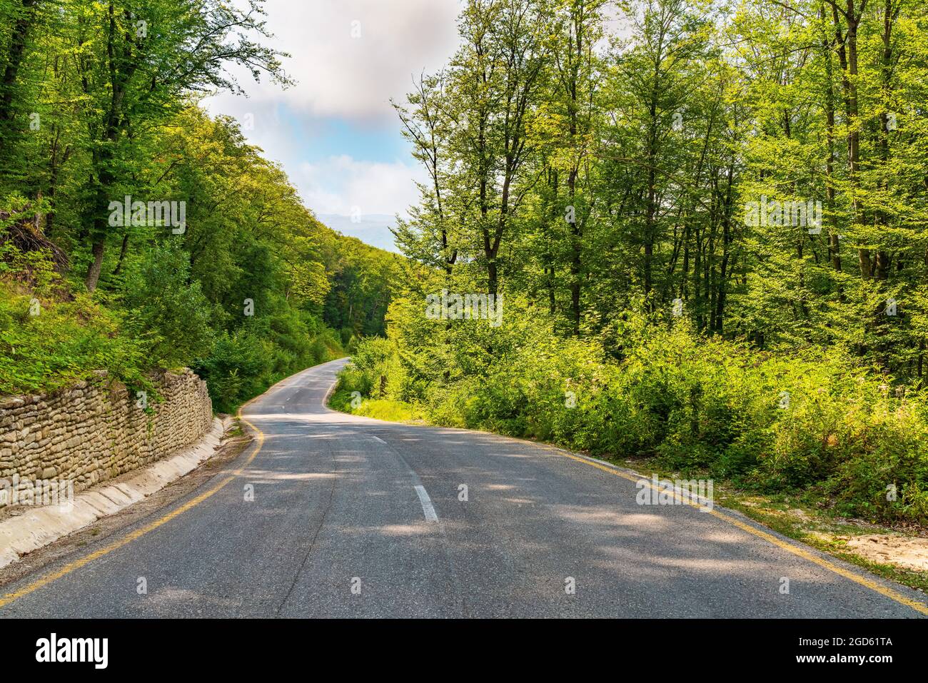 Asphalt road in green hi-res stock photography and images - Alamy