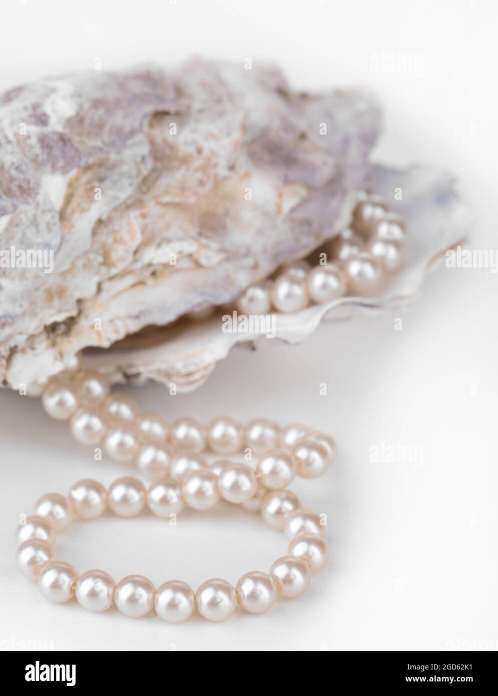 Shell with pearls, isolated on white Stock Photo - Alamy