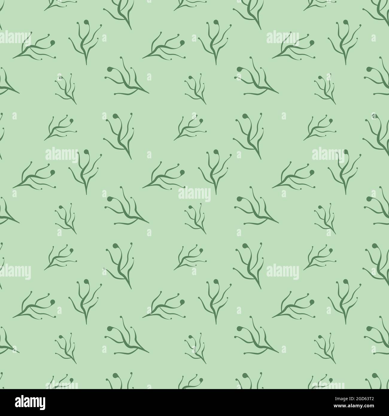 Vector botanical hi-res stock photography and images - Alamy