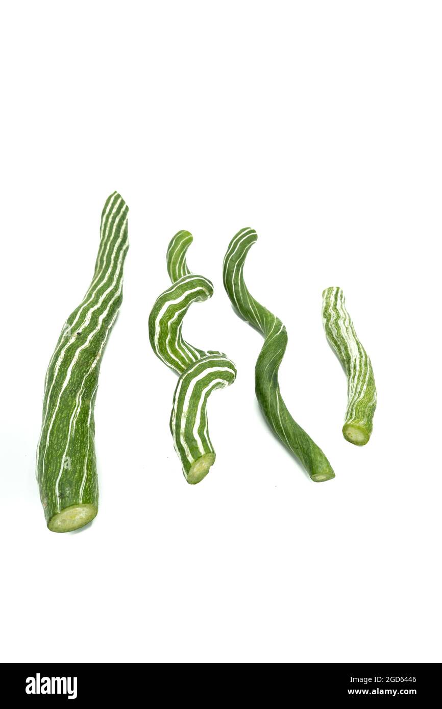Vertical shot of Snake Gourd isolated on a white background Stock Photo ...