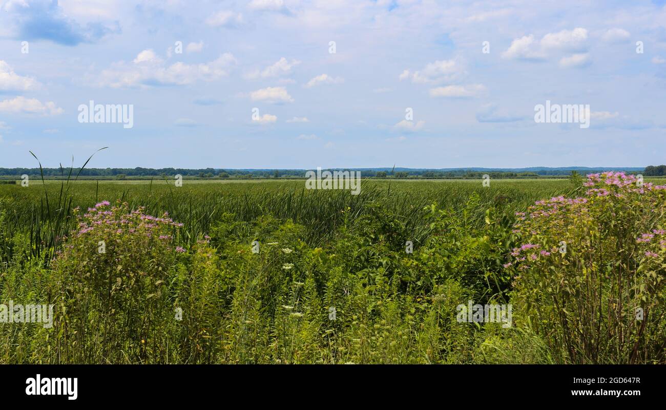A landscape shot showcasing the natural beauty of Illinois, USA Stock ...