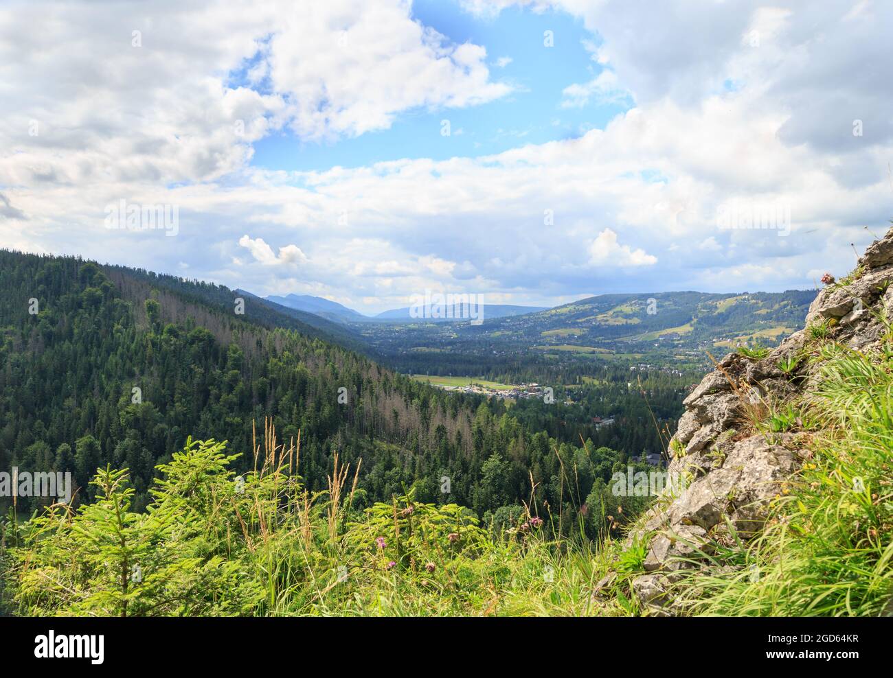 Mountain landscape in summer. View from Nosal in Bieszczady National ...