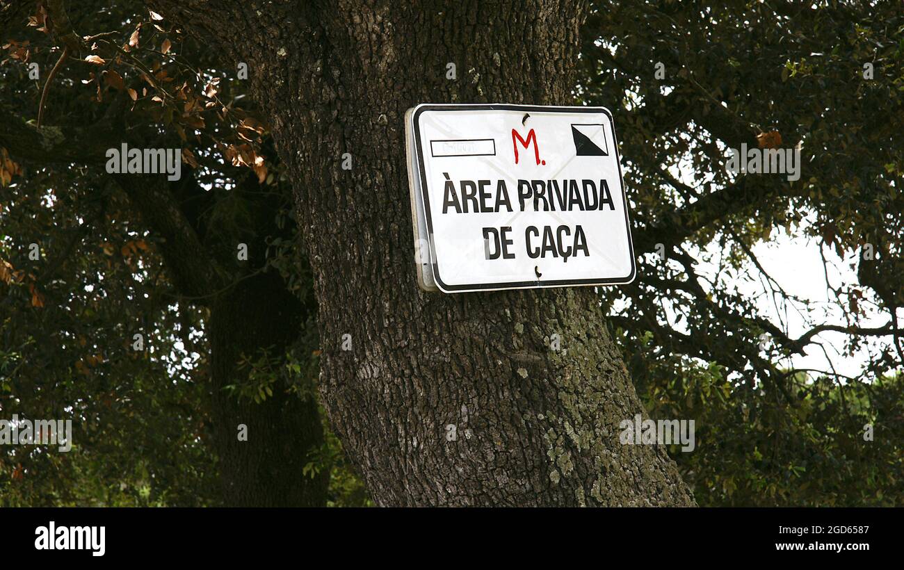 Trees with announcements hi-res stock photography and images - Alamy