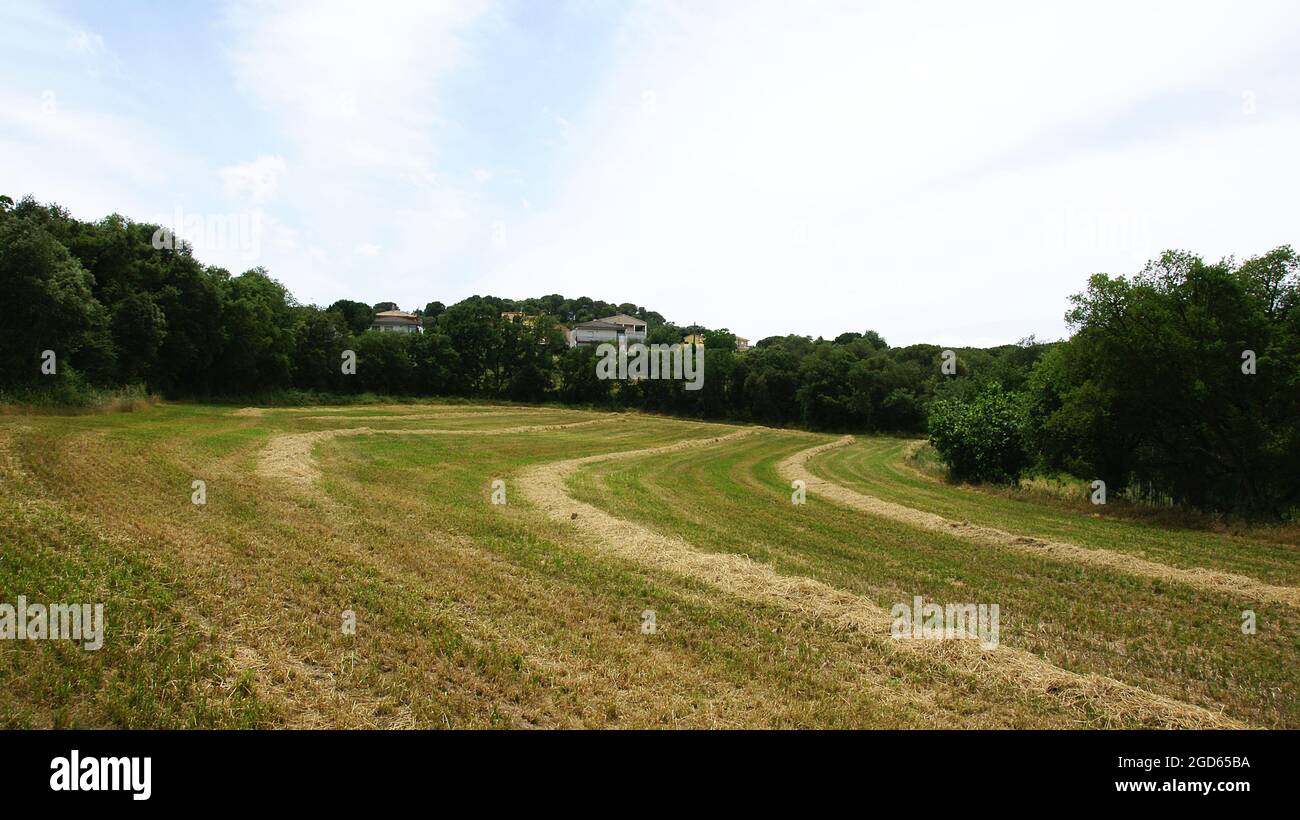 Farmer planting tree europe hi-res stock photography and images - Alamy