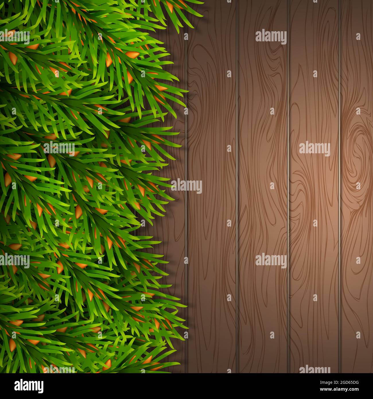 Border made of spruce branches. Mockup for decorating Christmas cards ...