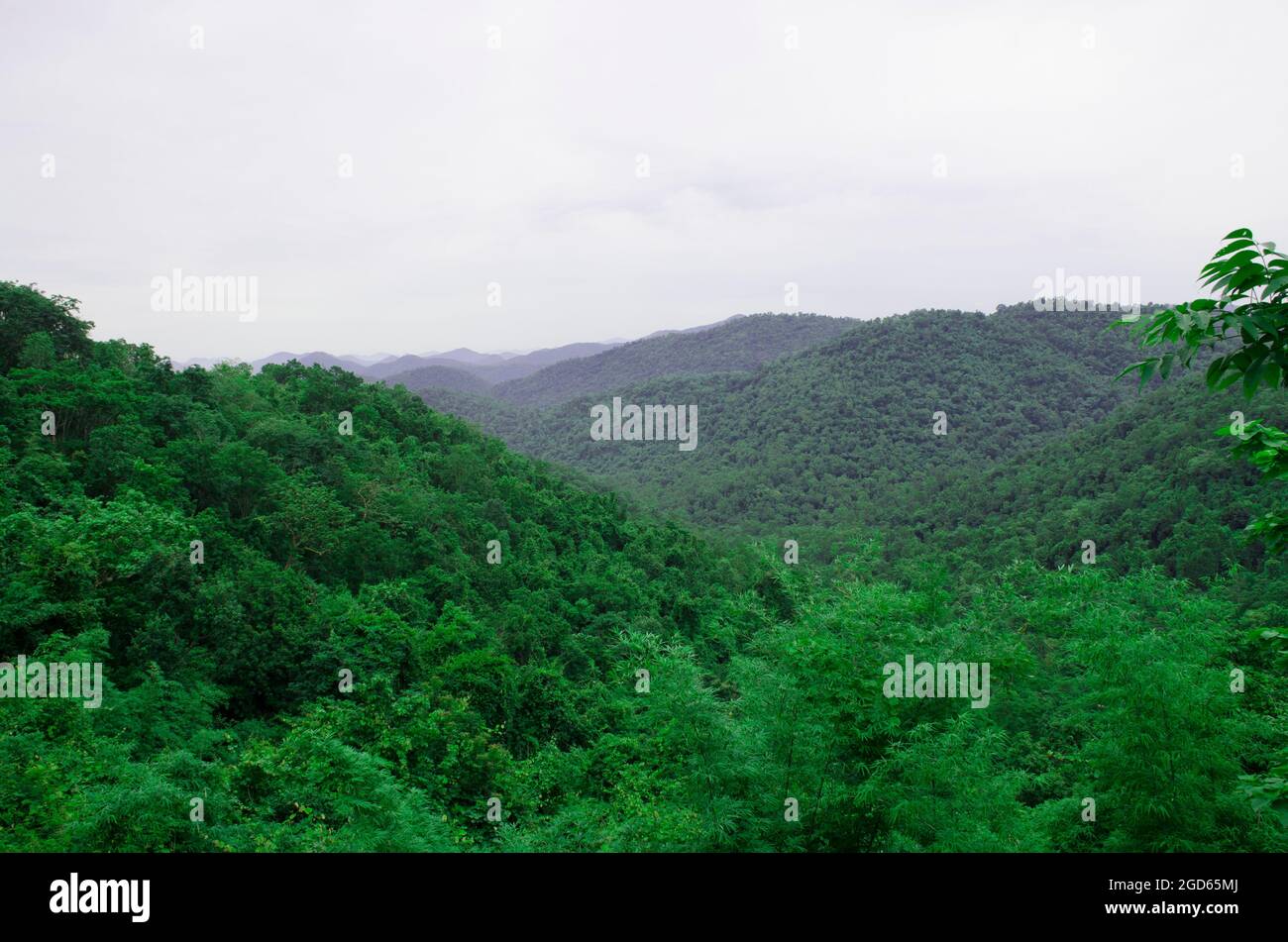 Daringbadi hi-res stock photography and images - Alamy