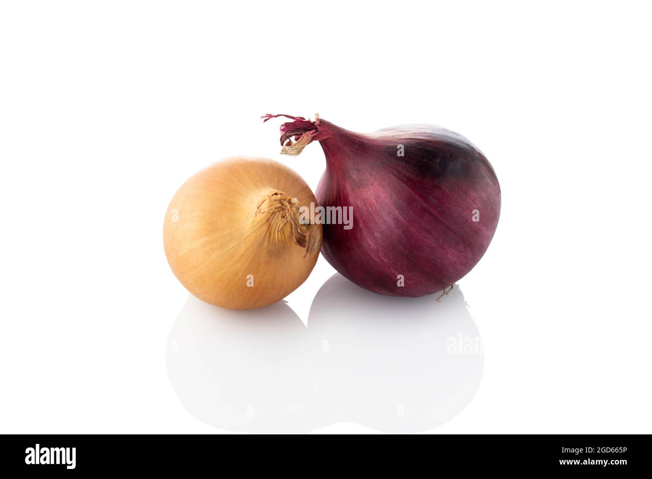 Red and yellow onion. Two colors onions on a white background Stock ...