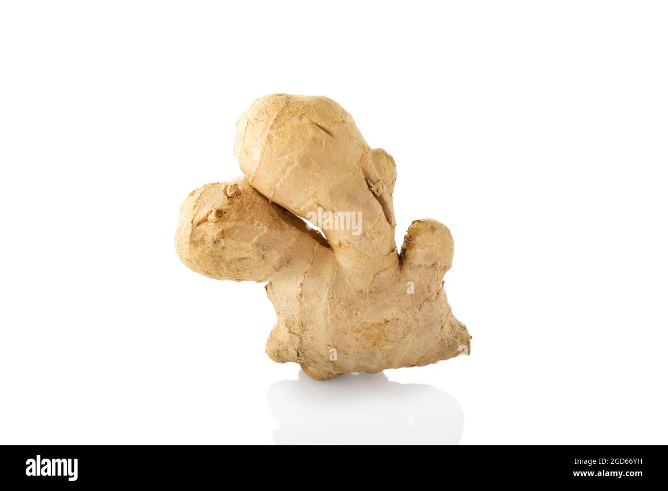 Ginger. Single ginger vertical position on a white background Stock ...