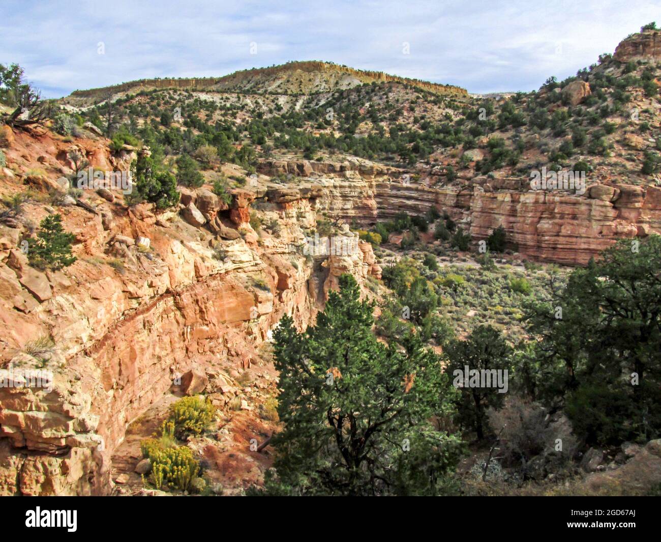 View over a hidden valley in the Petrified Forest State Park, Escalante ...