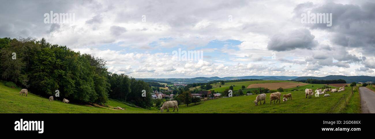 high. resolution panoramic images of the Spessart in southern Germany ...