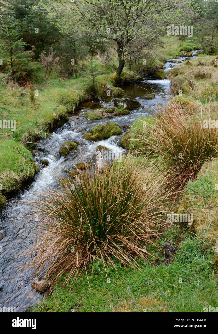 Fernworthy reservoir hi-res stock photography and images - Alamy