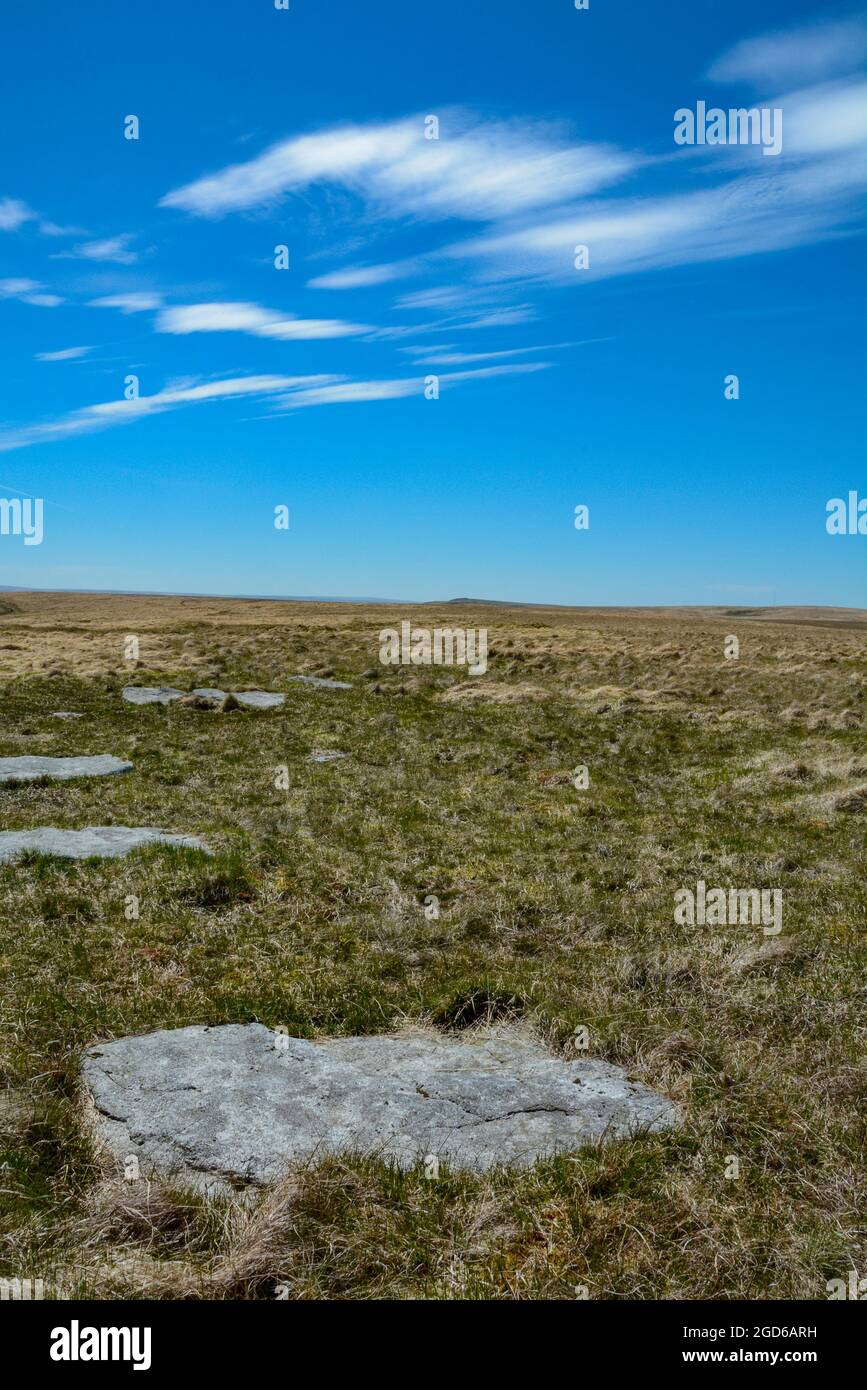Old fallen standing stones near Sittaford Tor on Dartmoor, Devon Stock ...